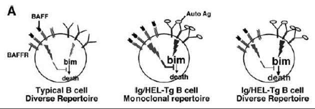 PowerPoint Presentation