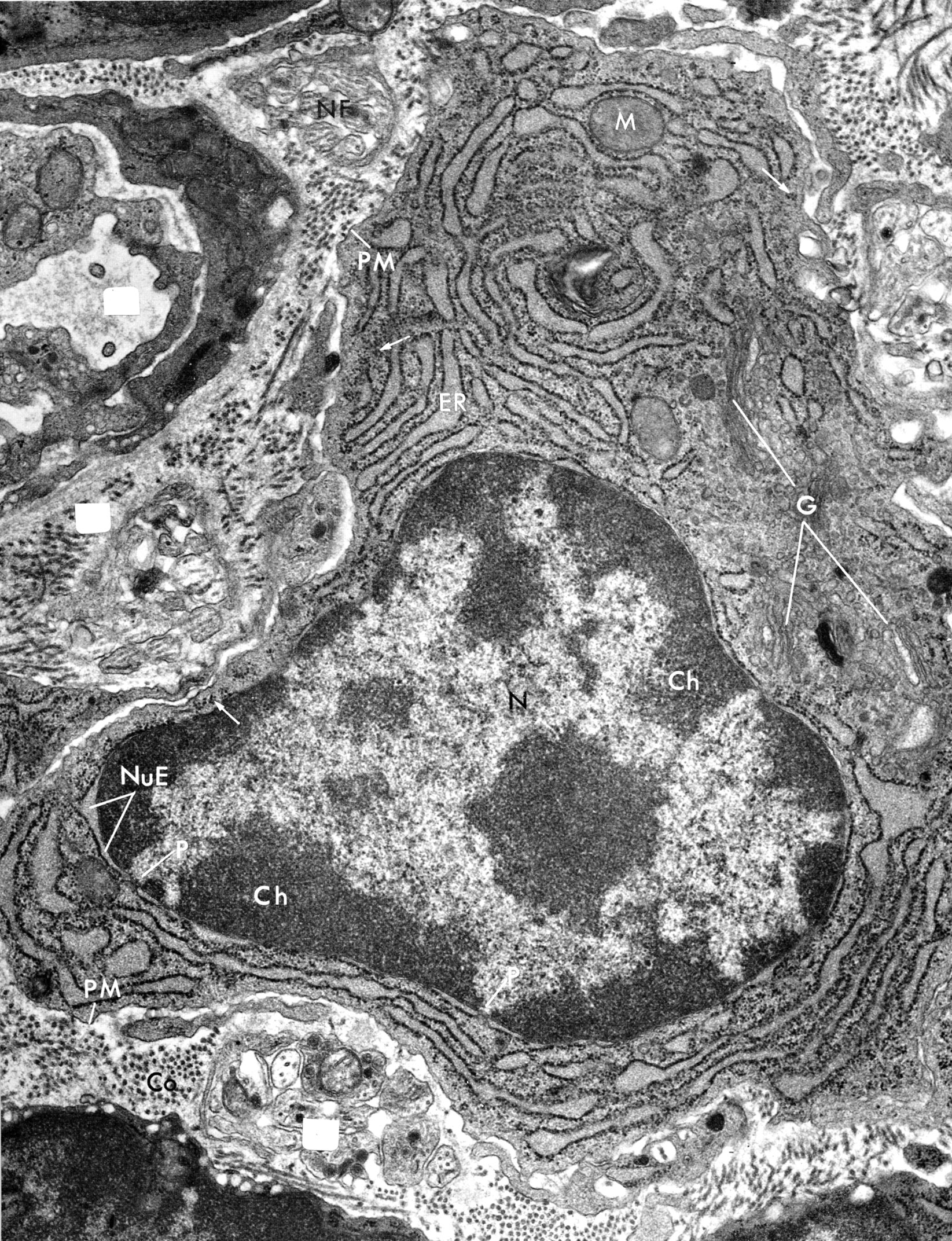 Histology Laboratory Manual