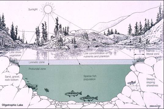 Welcome to Ecology 101