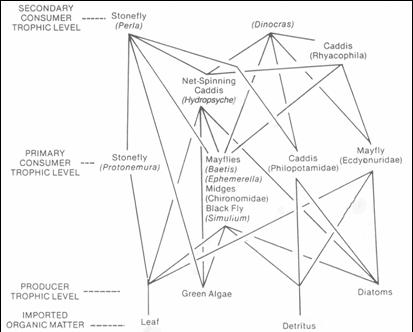 The Ecology Of Running Waters