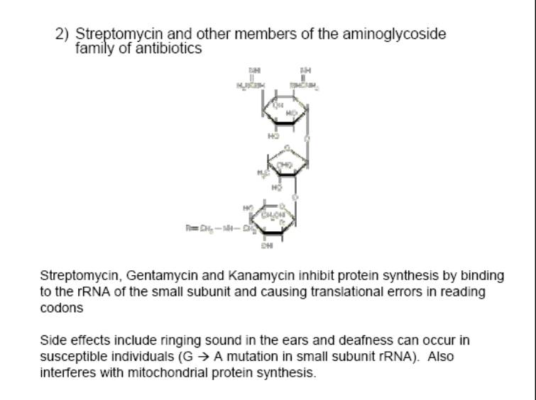 Lecture 6 - mRNA Splicing and Protein Synthesis