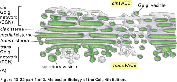 PowerPoint Presentation