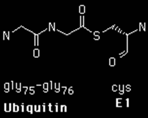 PowerPoint Presentation