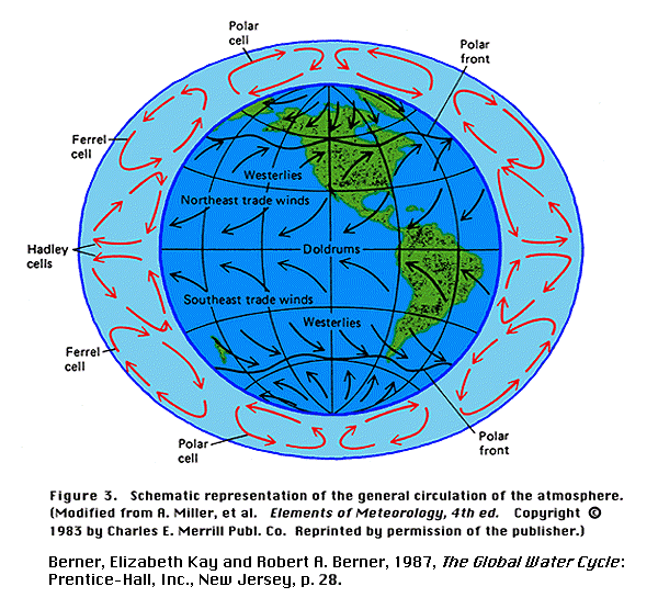 Evaporation, condensation, and precipitation