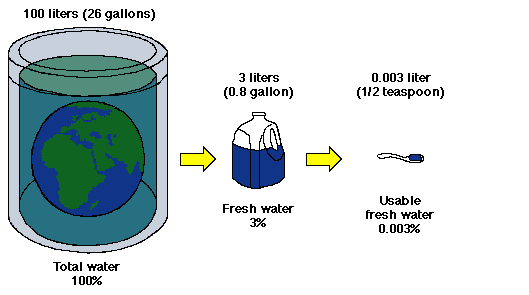 Hydrological Cycle