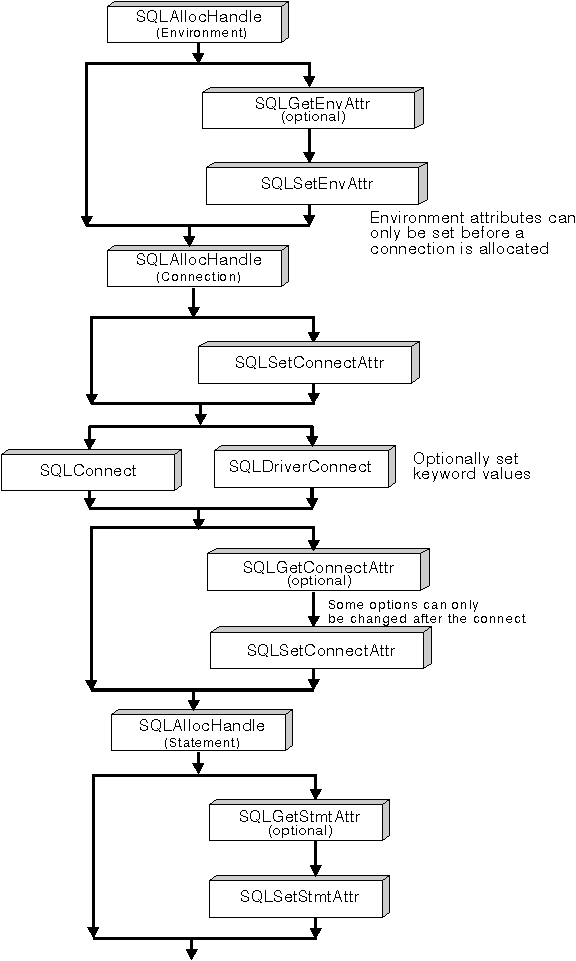 Call Level Interface Guide and Reference