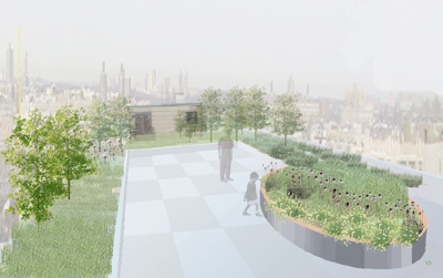 Spotlight on Seed Grants | ISERP