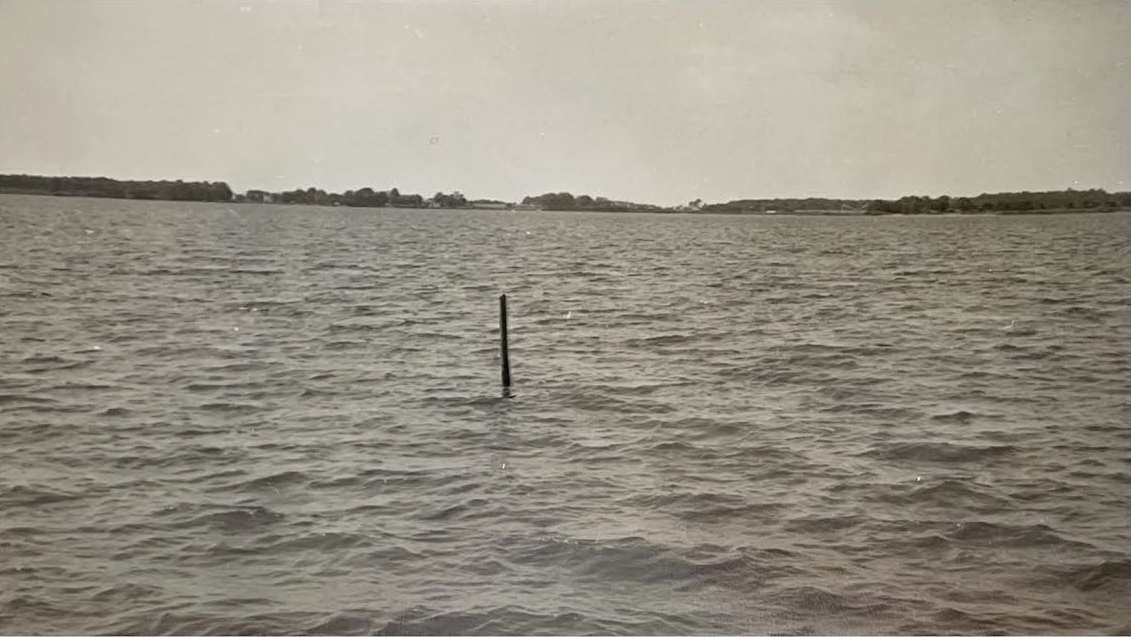 Gus - Photo #31 - Photos sent by Lina 11 June 2022