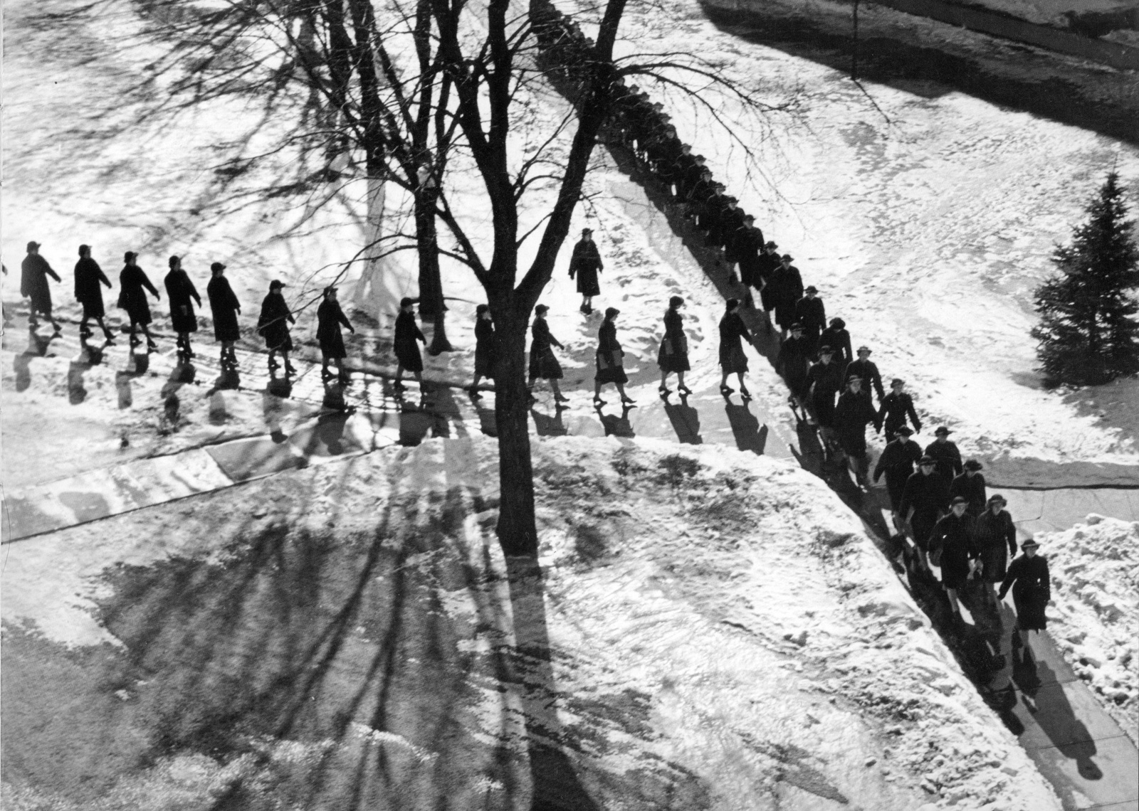 Navy WAVES - Photo #5 - Basic Training, Cedar Falls, Iowa, 1942