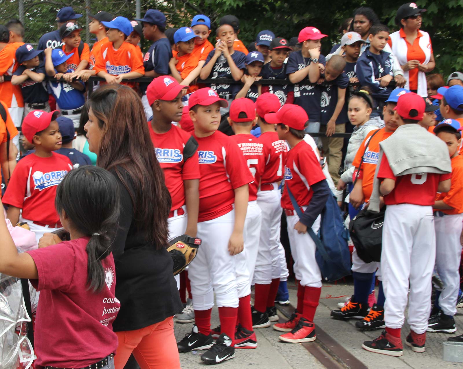 Bronx Day Parade 2014 - Photo #51