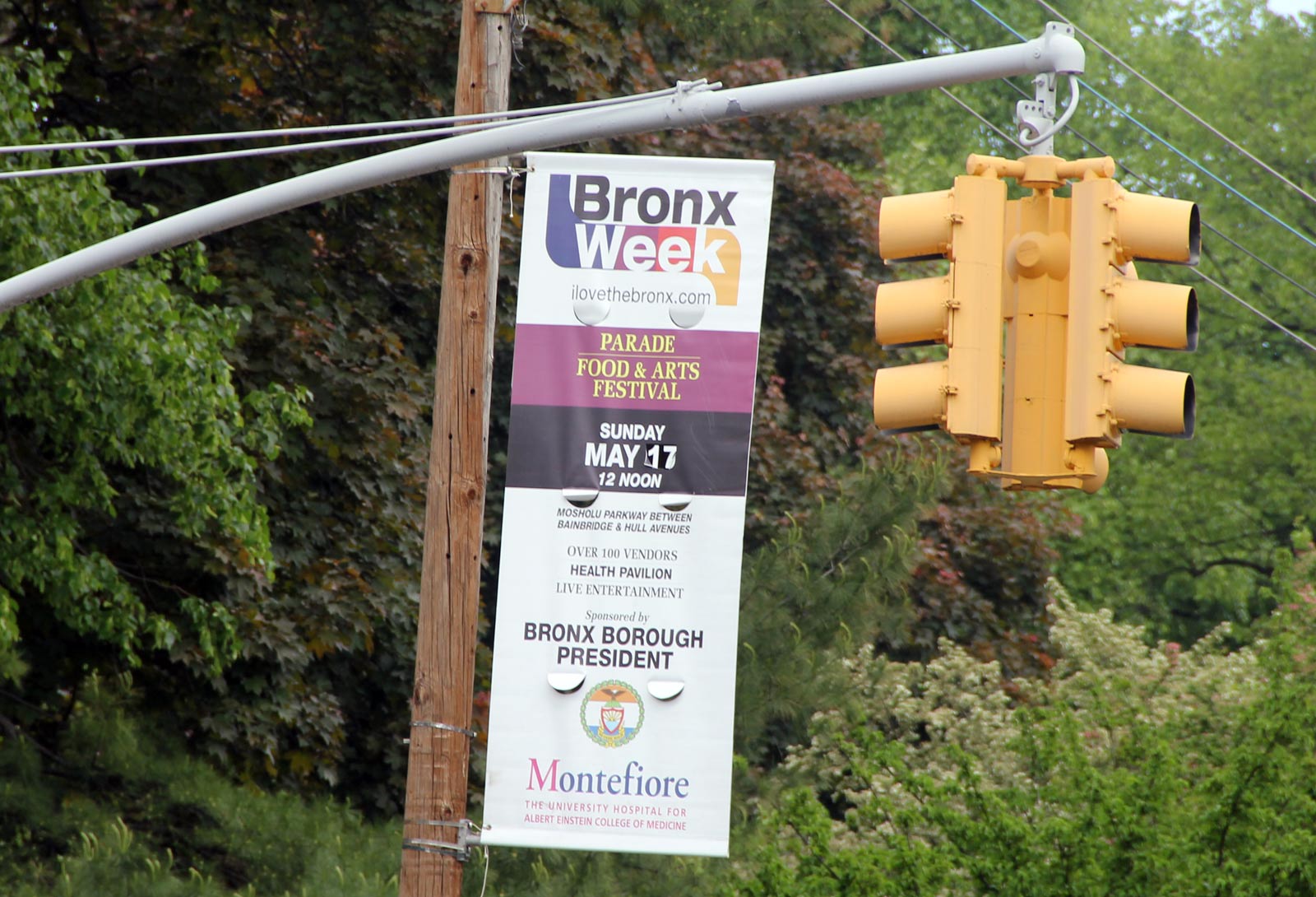 Bronx Day Parade 2015 - Photo #1