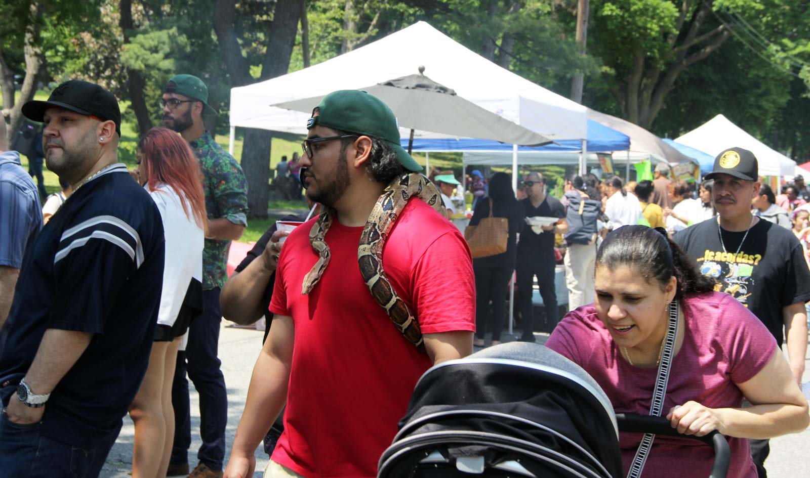Bronx Day Parade 2019 - Photo #143