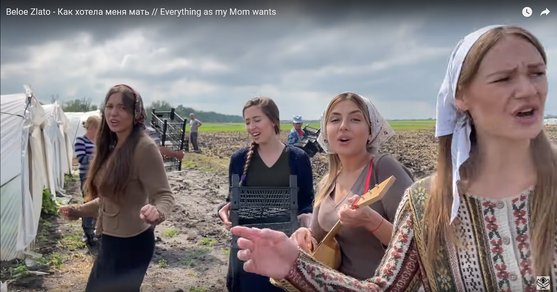 Beloe Zlato photo gallery - Photo #14