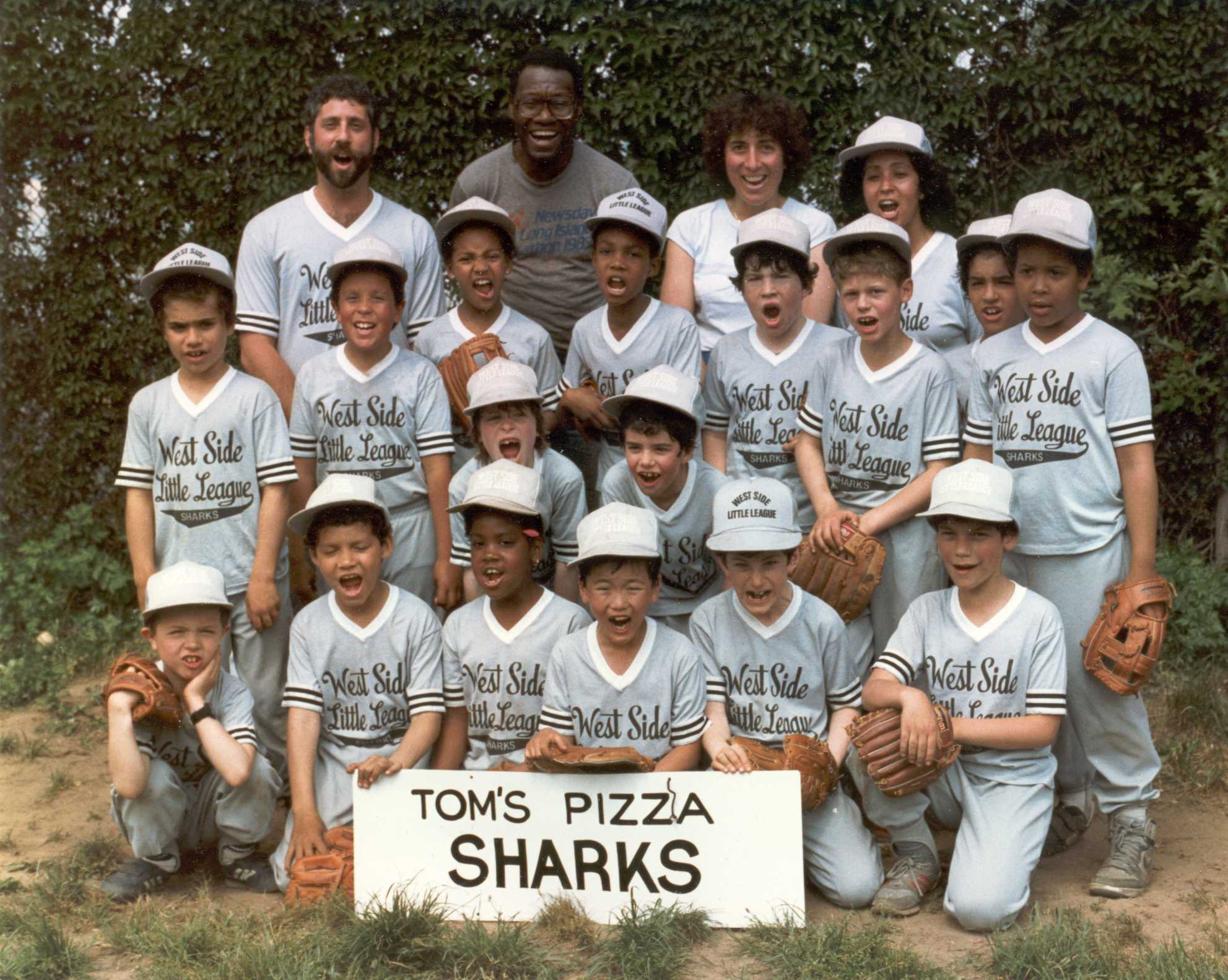 The Sharks