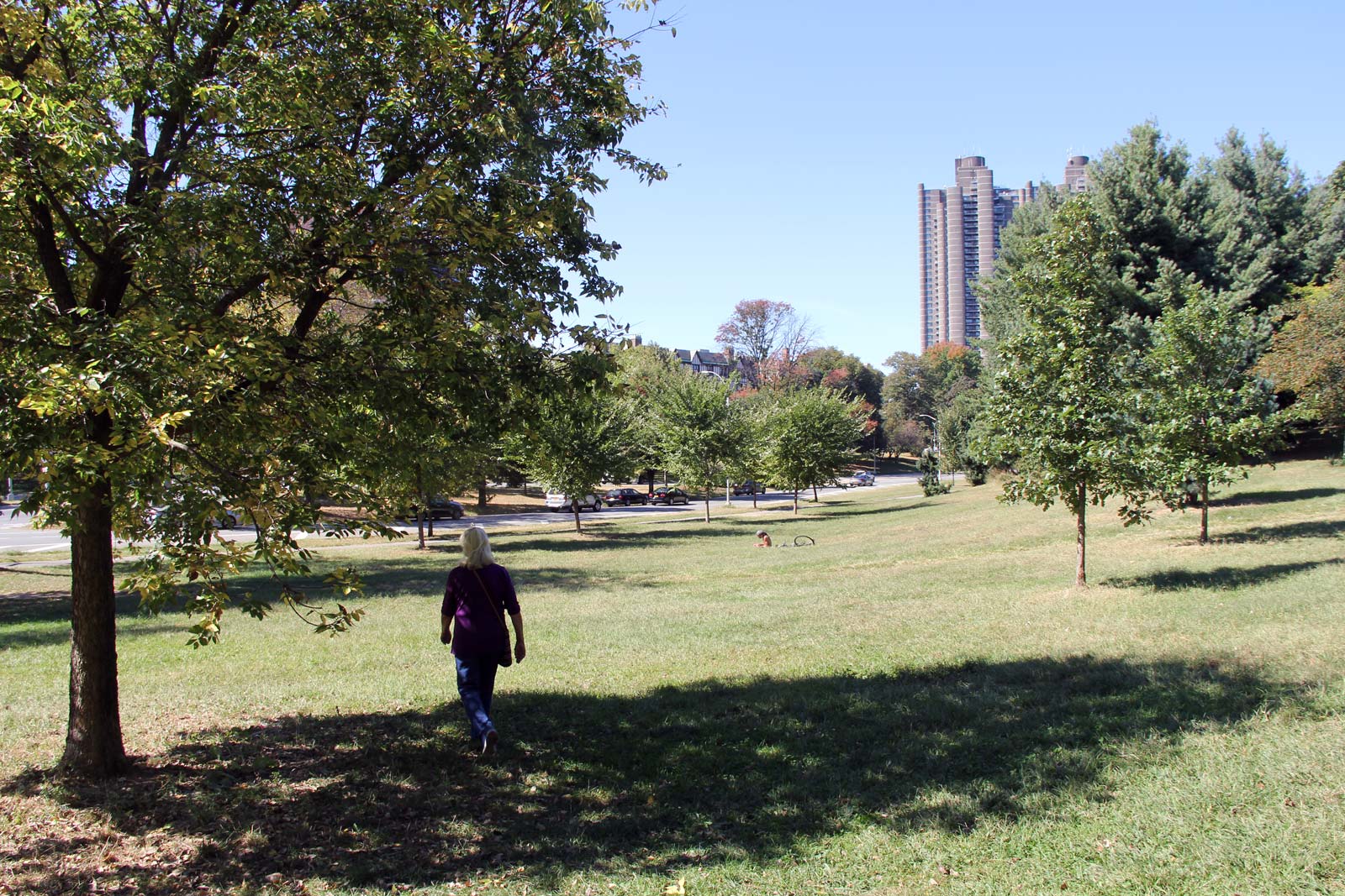 September 2019 - Photo #134 - September 29 - Jerome Park and ...