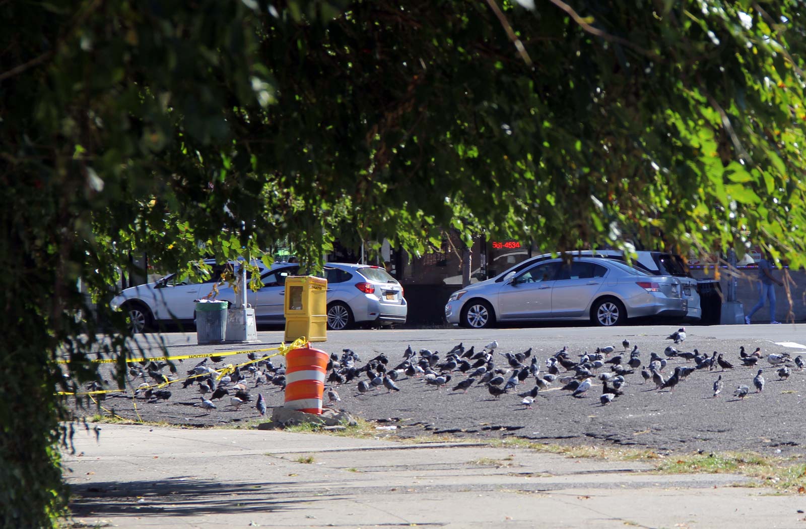 September 2019 - Photo #147 - September 29 - Jerome Park and ...