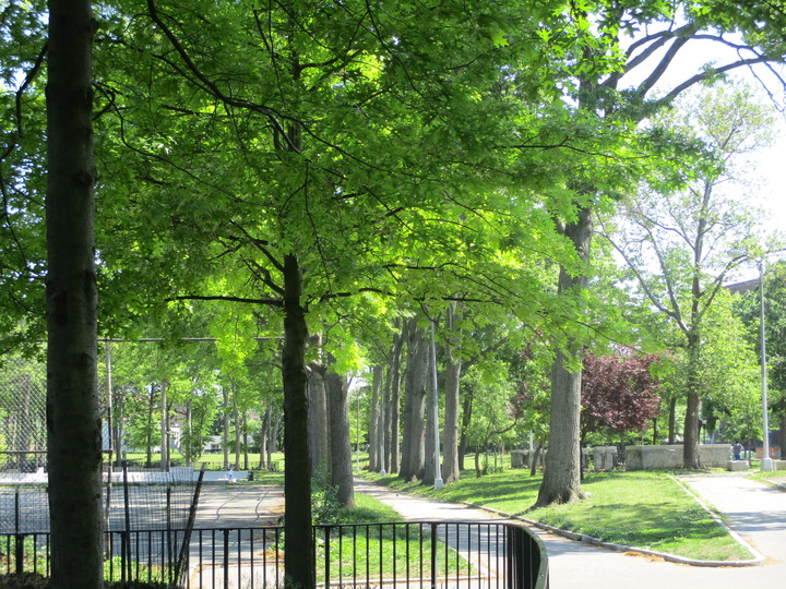 Bronx NY June 2021 - Photo #18 - Oval Park