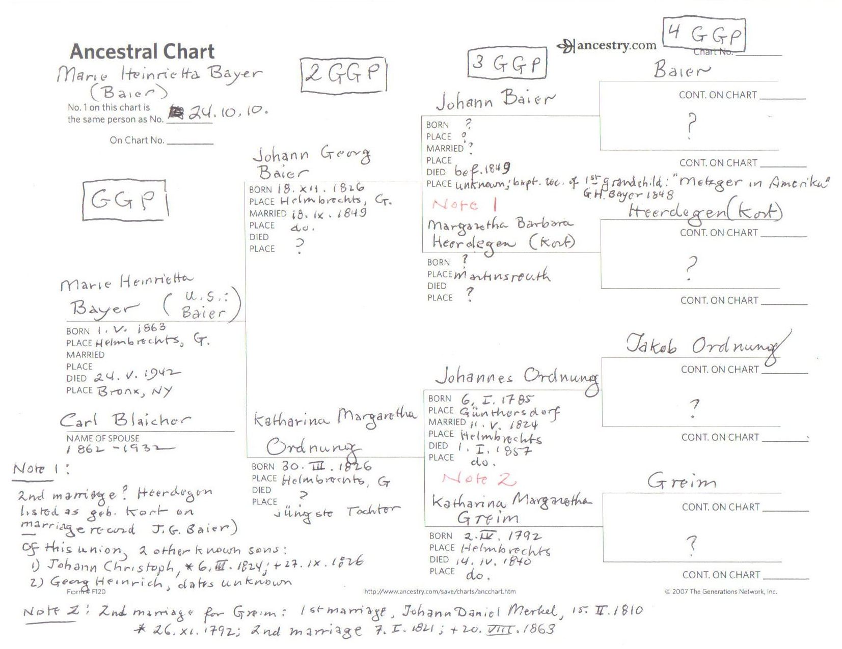 Report for the year 2010