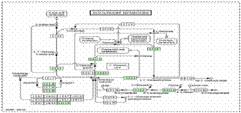 Wastewater Treatment and Climate Change