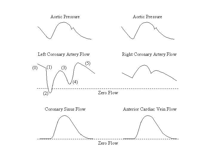 coronary flow - meddic