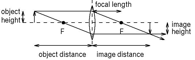 Optical Microscopy