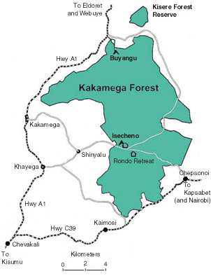Marina Cords' Research - Kakamega Forest