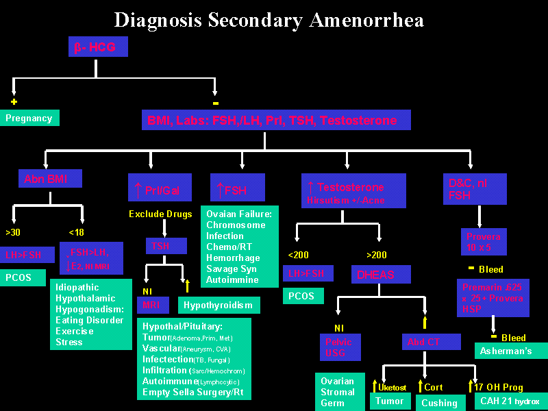 Diagnosis Secondary Amenorrhea