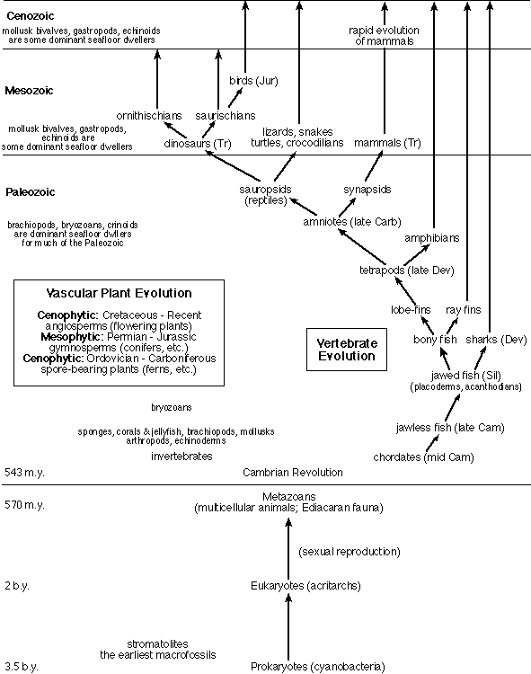 Intro Earth Sciences II Notes