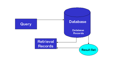 Information Retrieval System