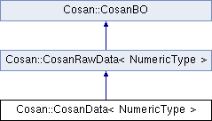Cosan: Cosan::CosanData Class Template Reference